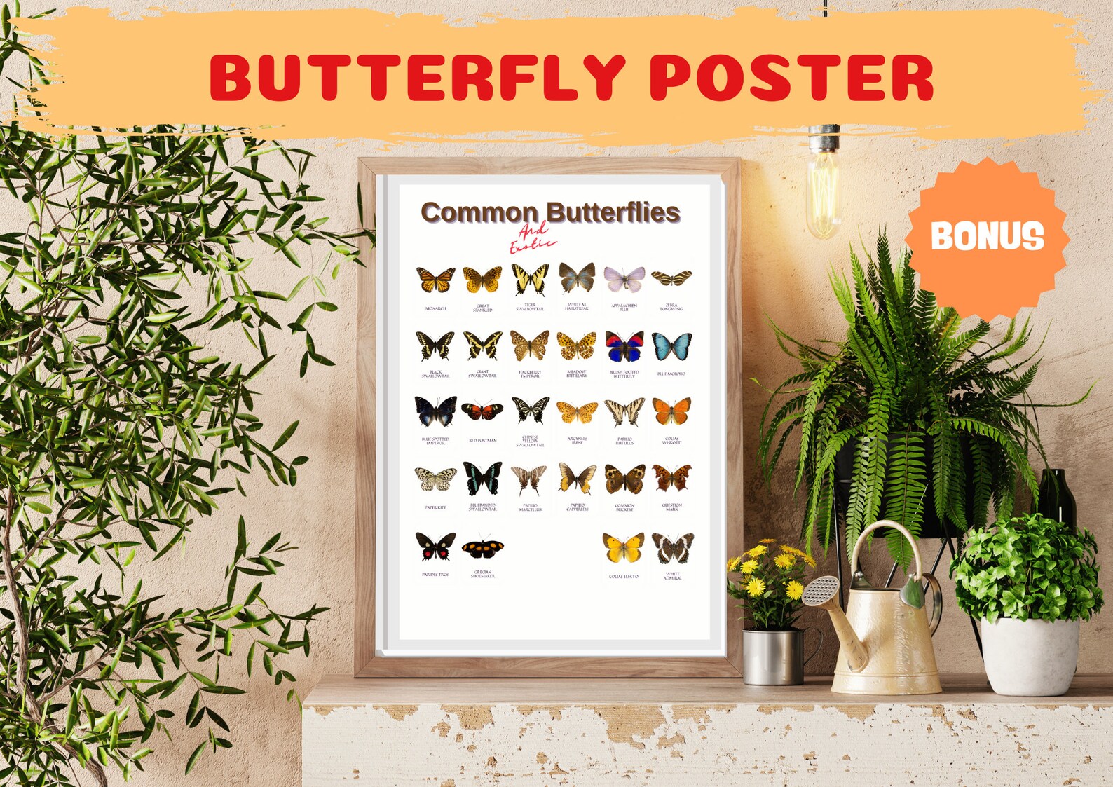 Printable Butterfly Species | Montessori Printable Flashcards ...