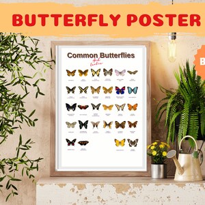 Printable Butterfly Species | Montessori Printable Flashcards ...