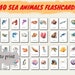 40 Sea Animals Flashcards | Montessori Flashcards | Ocean Animals ...