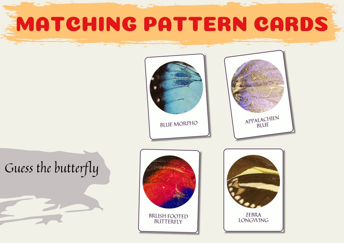 Printable Butterfly Species | Montessori Printable Flashcards ...