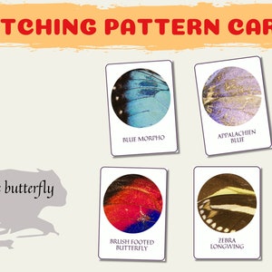 Printable Butterfly Species | Montessori Printable Flashcards ...