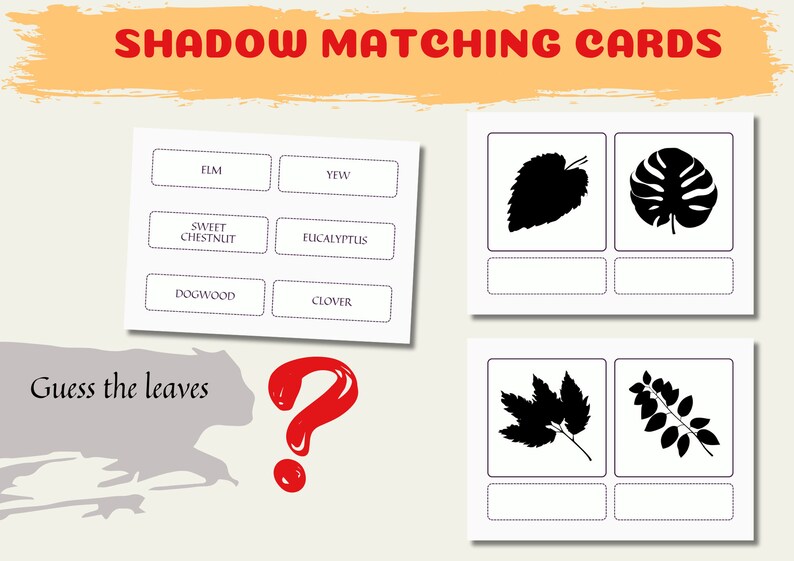 Tree Leaf Flashcards | Montessori Learning, Shadow Matching (digital ...