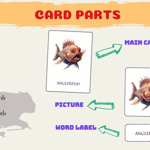 40 Sea Animals Flashcards | Montessori Flashcards | Ocean Animals ...
