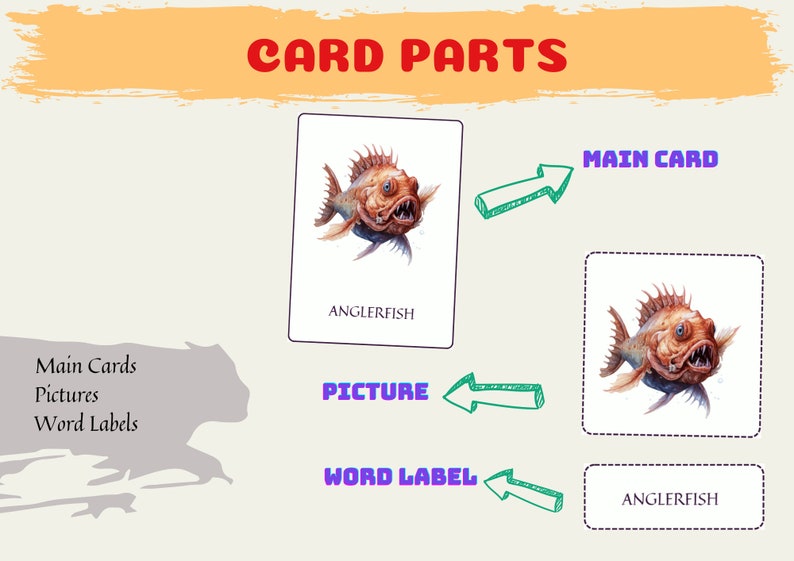 40 Sea Animals Flashcards | Montessori Flashcards | Ocean Animals ...