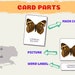 Printable Butterfly Species | Montessori Printable Flashcards ...