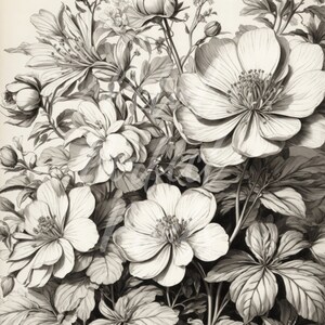 Vintage Botanical Flowers , Printable Art for Home Decoration - Etsy