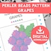 GRAPES Fruits Kids Crafts Fuse Beads Pyssla Templates Tutorial ...