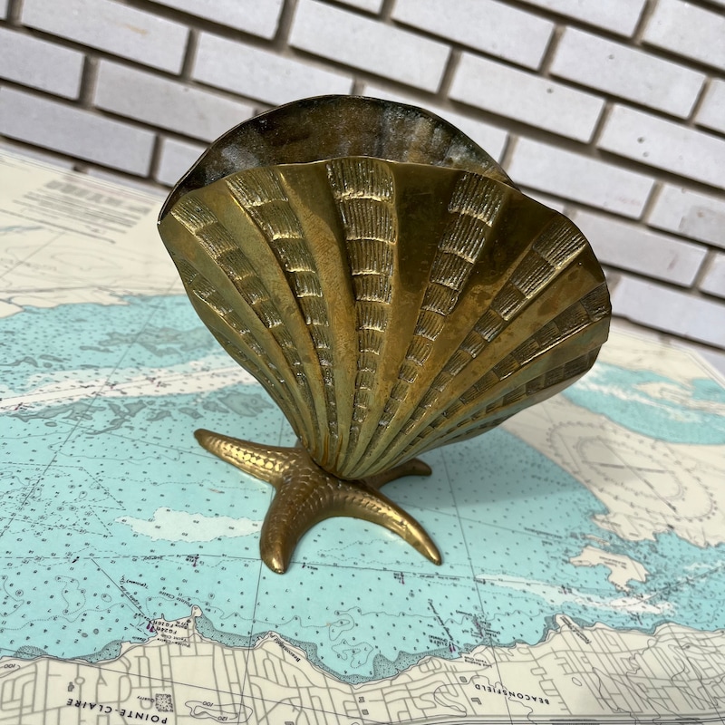 Shell Vase - Etsy