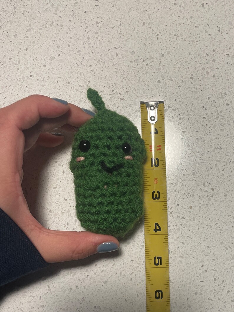 Pickle Plushie Set - Etsy