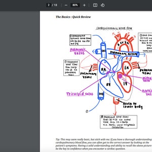 Condensed FNP Boards Study Guide - Etsy