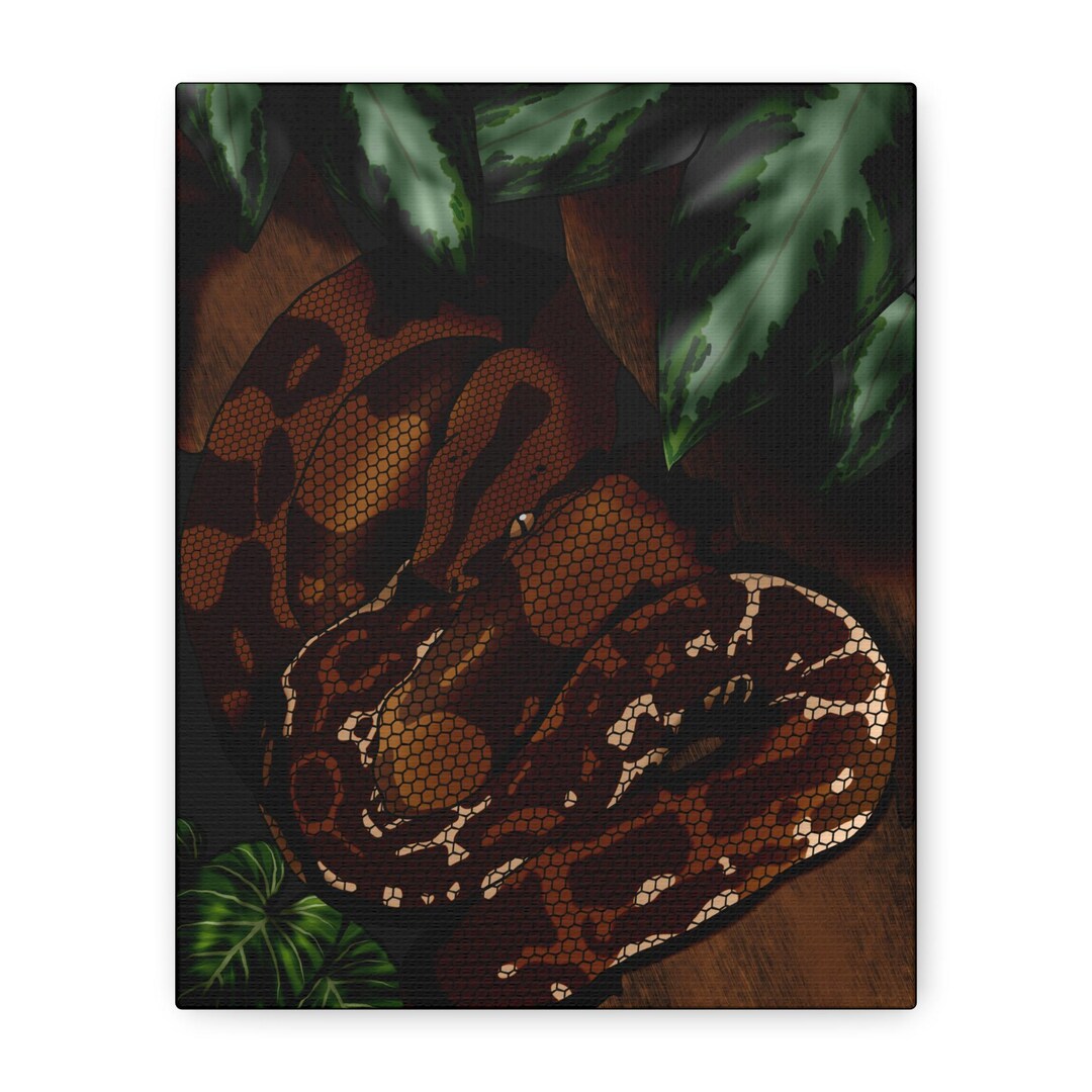Snake Canvas, Boa Constrictor Wall Art, Reptile Art Print - Etsy