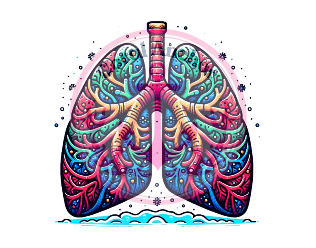 Respiratory Lungs PNG - Winter Respiratory Therapist Download ...