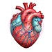 Anatomical Heart PNG - Respiratory Therapist Download - Nurse PNG ...