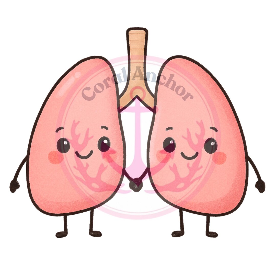 Respiratory Lungs PNG - Respiratory Therapist Download - Respiratory ...