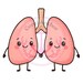 Respiratory Lungs PNG - Respiratory Therapist Download - Respiratory ...