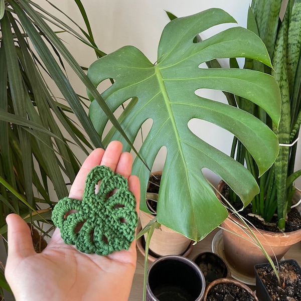 Crochet Monstera - Etsy