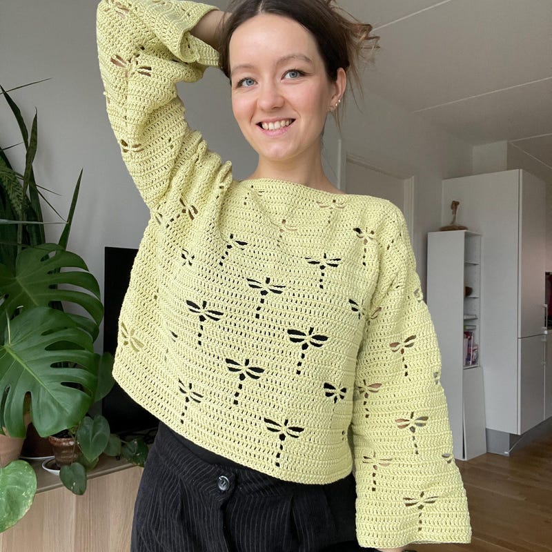 Dragonfly Sweater Crochet - Etsy