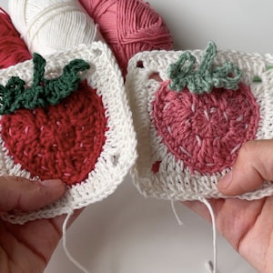 STRAWBERRY GRANNY SQUARE Crochet Pattern | Beginner Friendly Pdf in ...