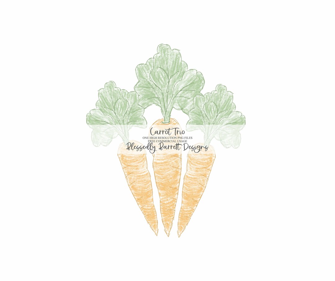 Easter Clipart | Watercolor | Carrots | Bunny | Bunny Food | Clipart ...