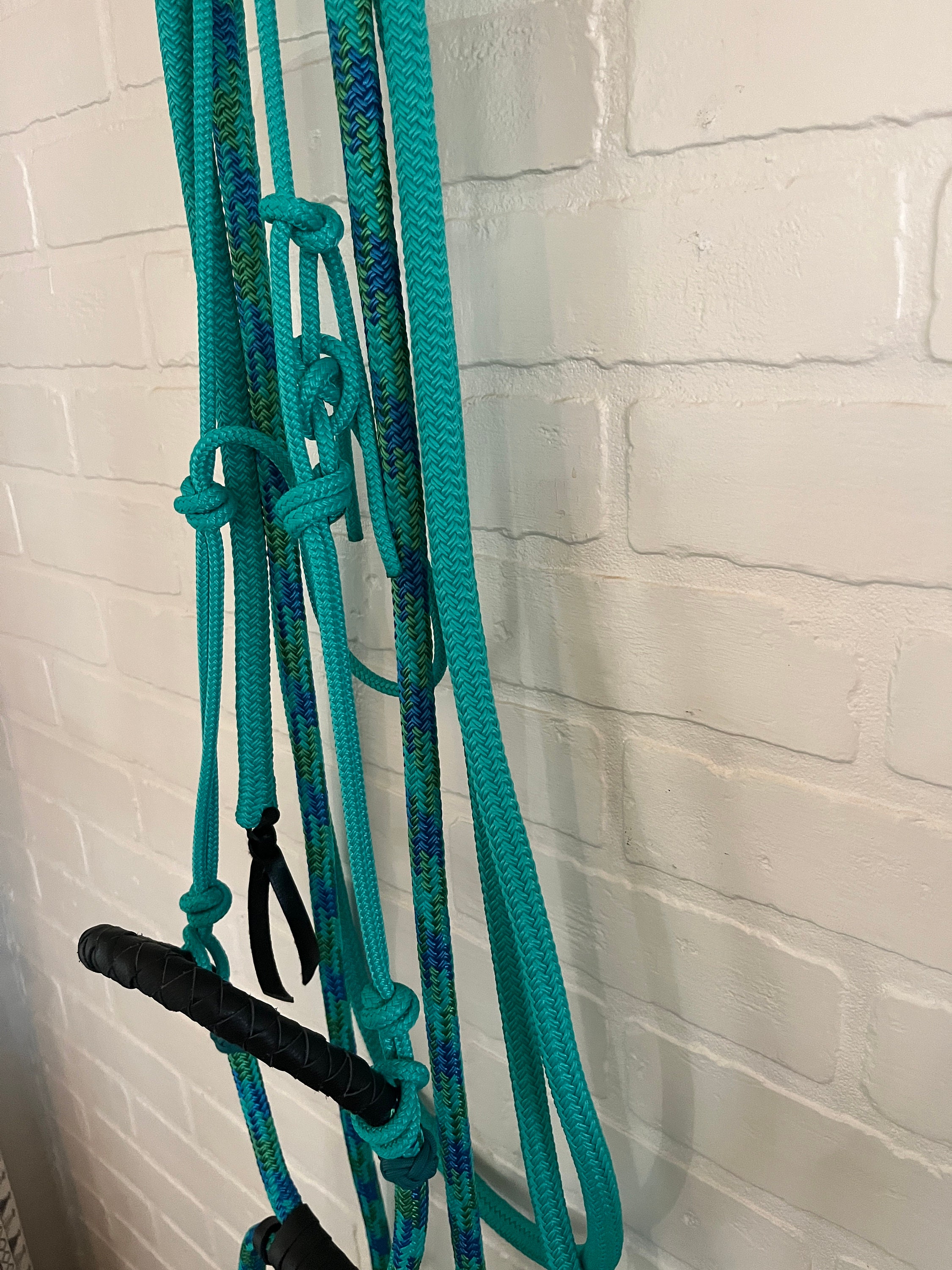 Loping, Rope, Bitless, Hackamore, Trail Bridle, Soft Bosal, Mecate ...