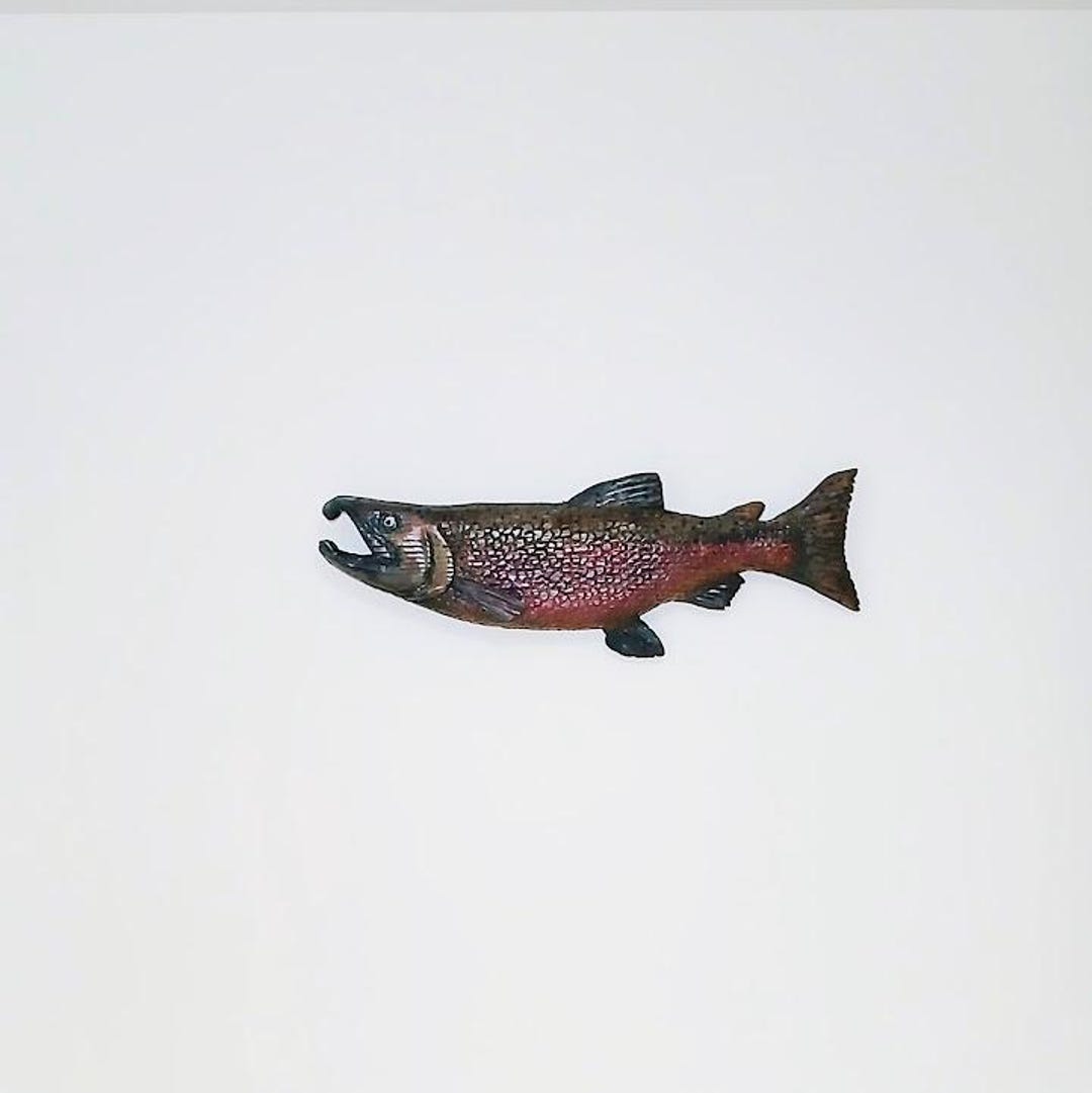 Hand Carved Wood Salmon Wall Art: Signed, Hand Painted - Etsy