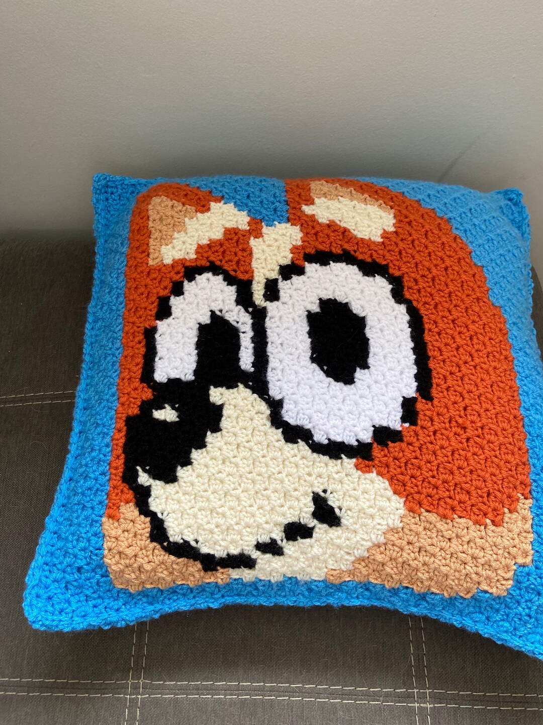 Crochet Pillows - Bluey and More - Etsy