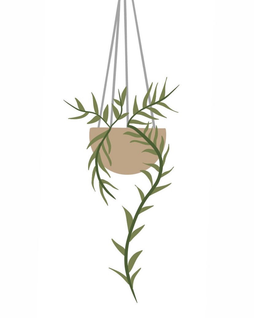 Hanging Plant Sticker - Etsy