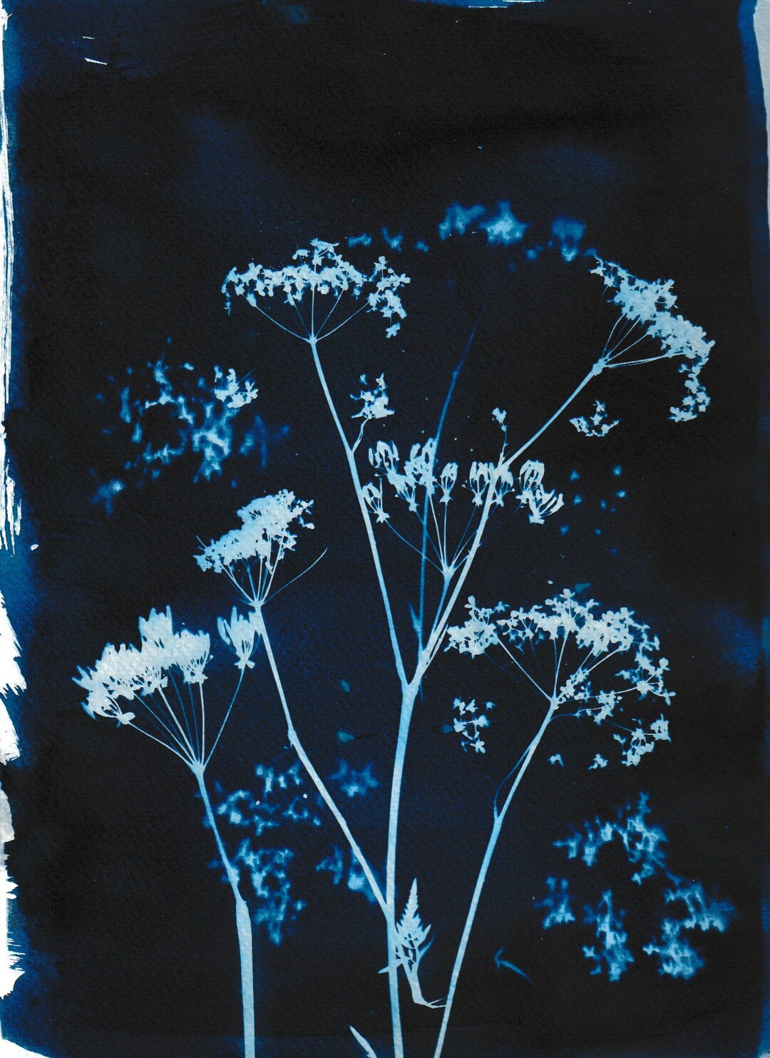 Cyanotype Printable Images, Craft Paper, Home Decor, Feather Art ...