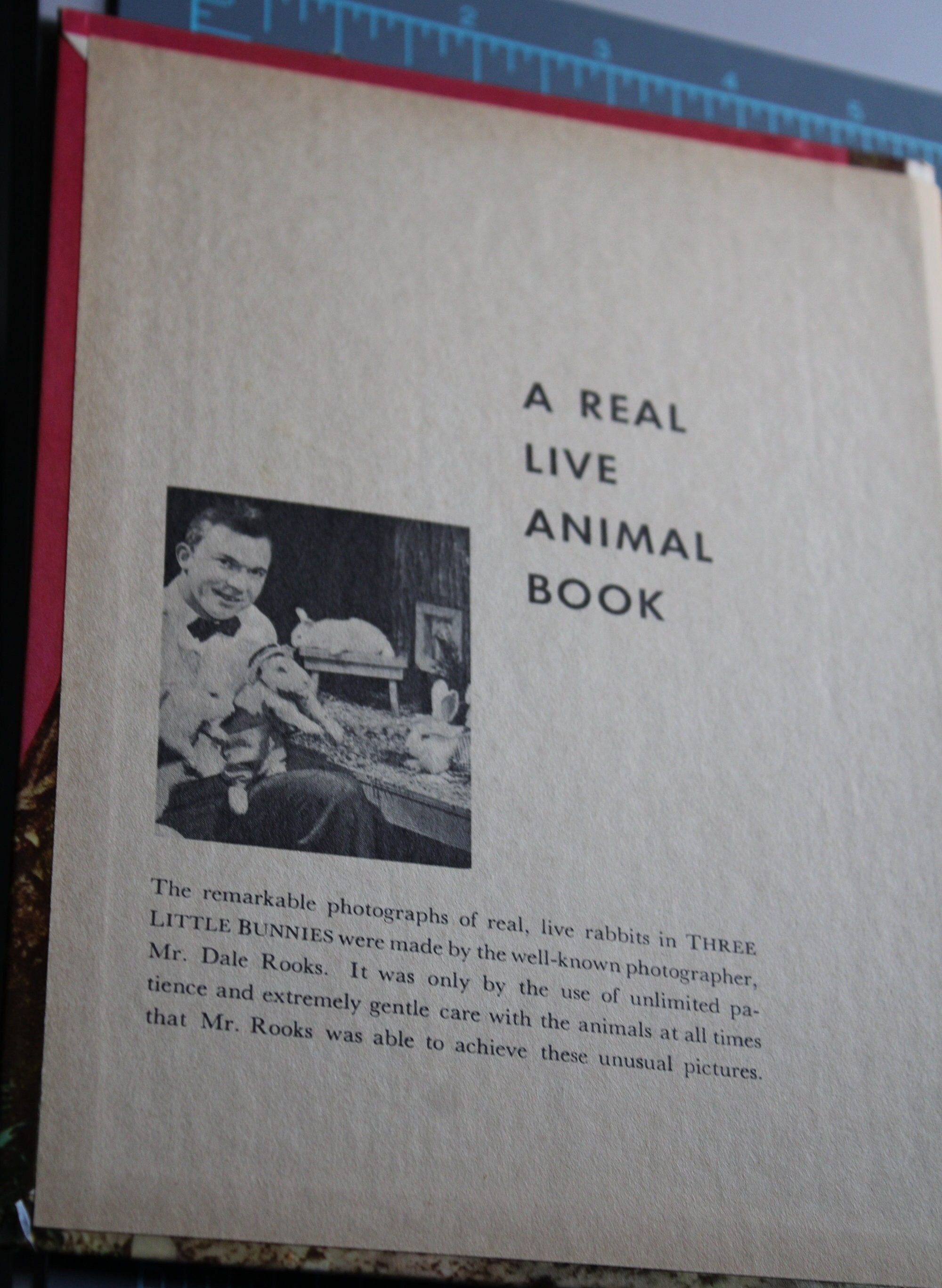 Rare Vintage Three Little Bunnies Real Live Animal Book 1950 by Ruth ...