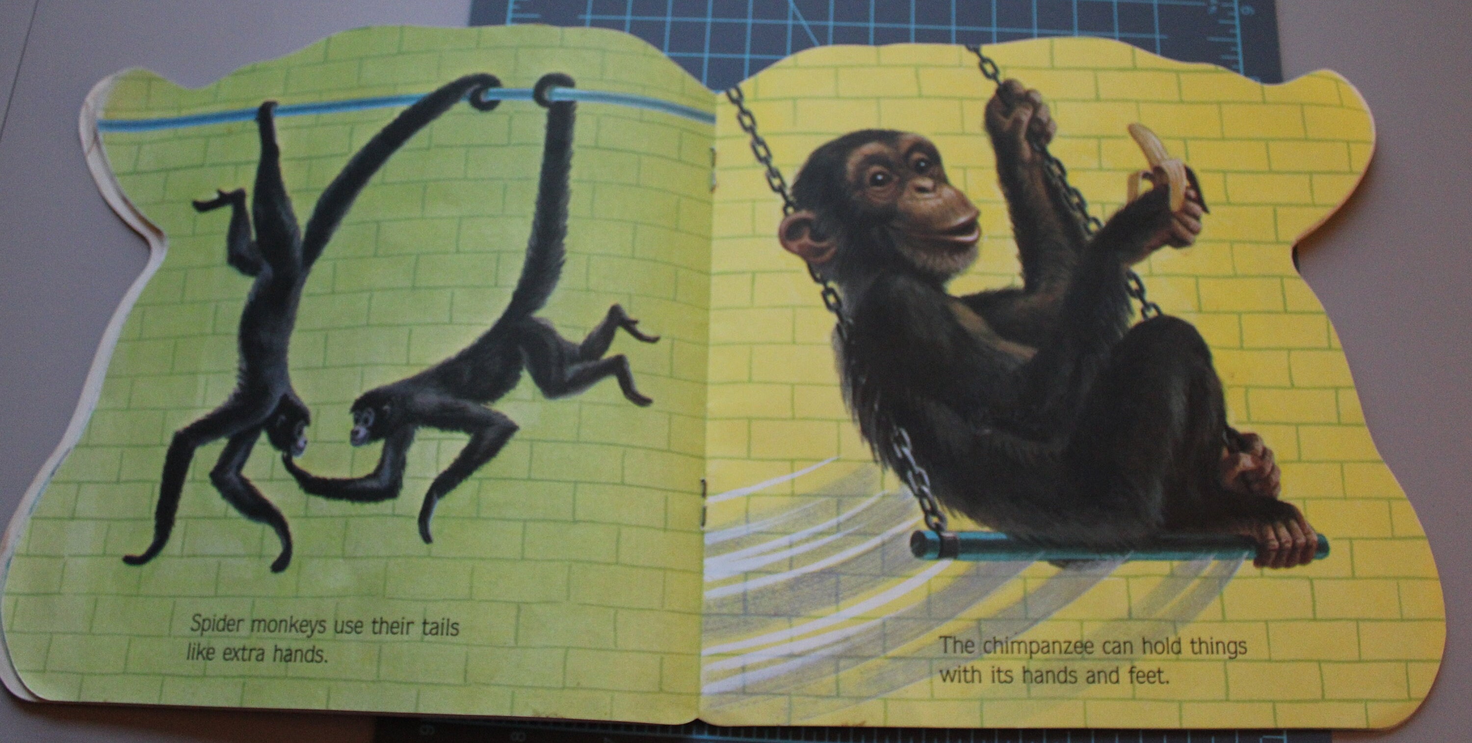 The Zoo Book A Golden Super Shape Book Vintage 1967 - Etsy