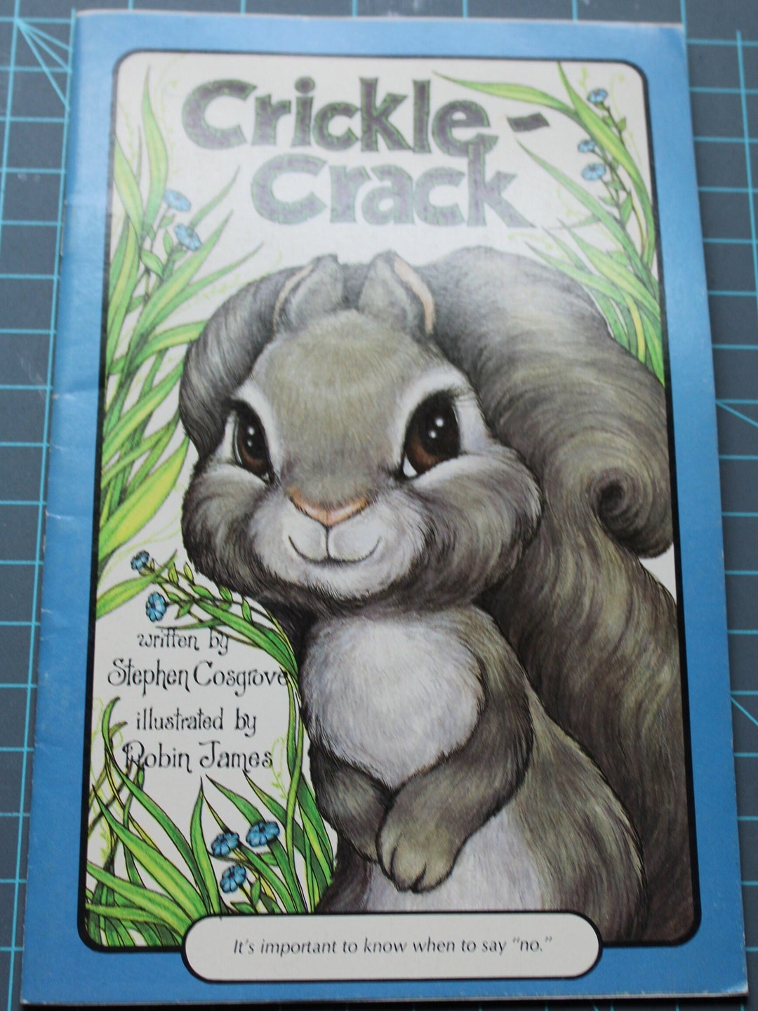 Crickle Crack Serendipity Book by Stephen Cosgrove and Robin James 1987 ...