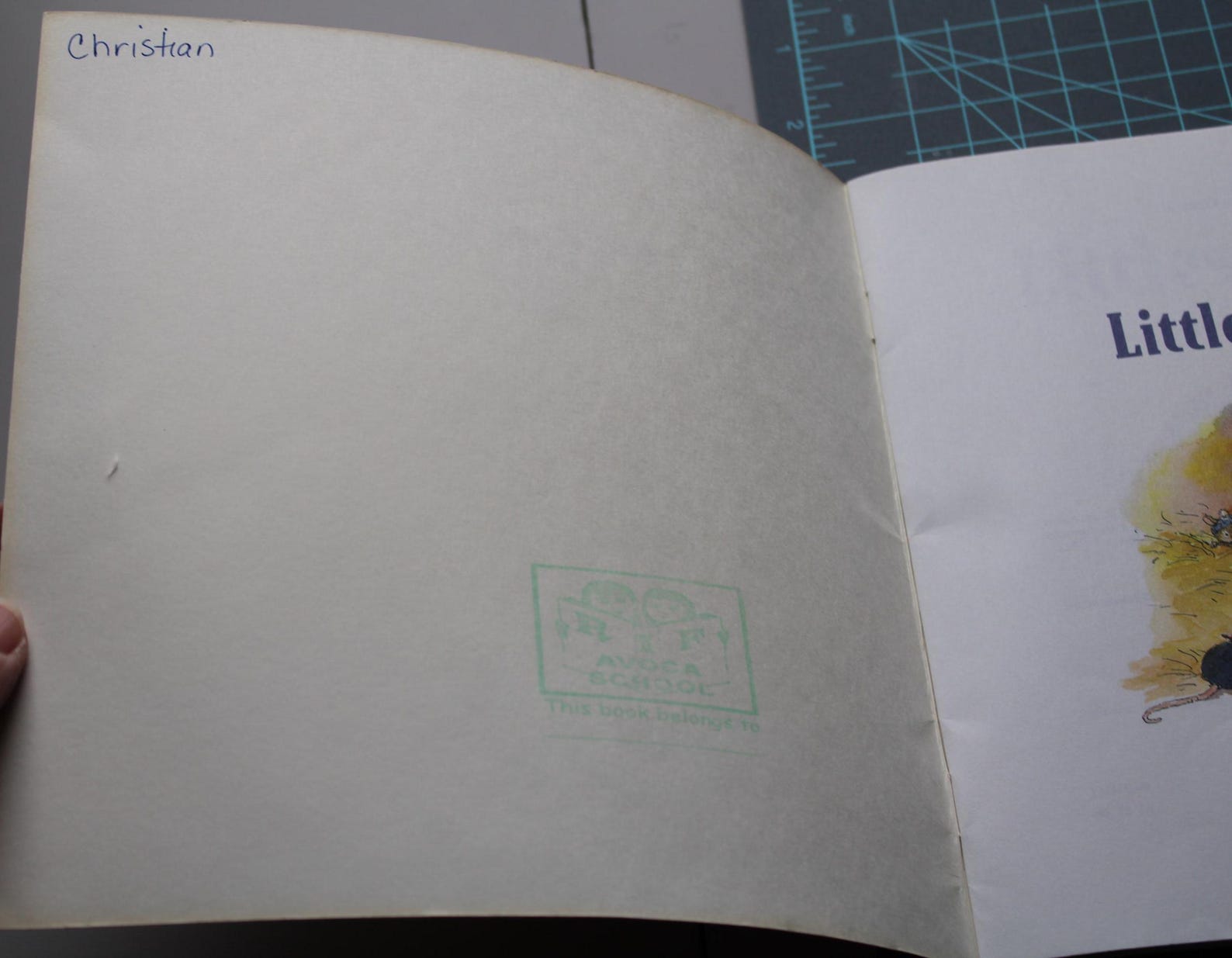 The Littlest Pumpkin by R.A. Herman Illustrated by Betina Ogden ...