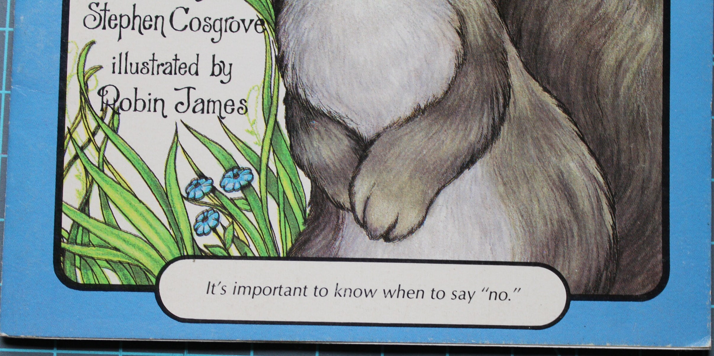 Crickle Crack Serendipity Book by Stephen Cosgrove and Robin James 1987 ...