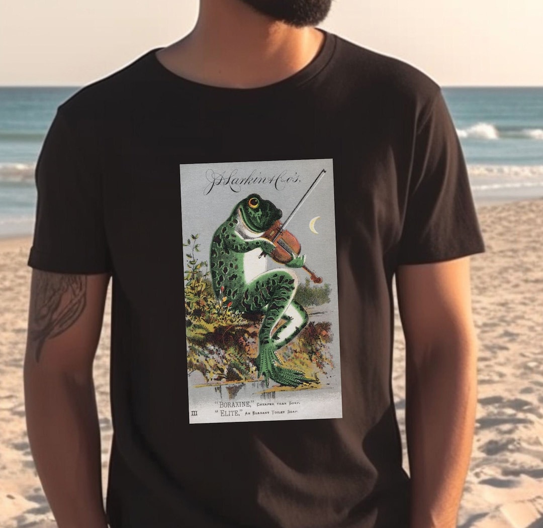 Music Teacher Shirt, Violin Teacher Gift, Gift for Music Teacher, Frog ...
