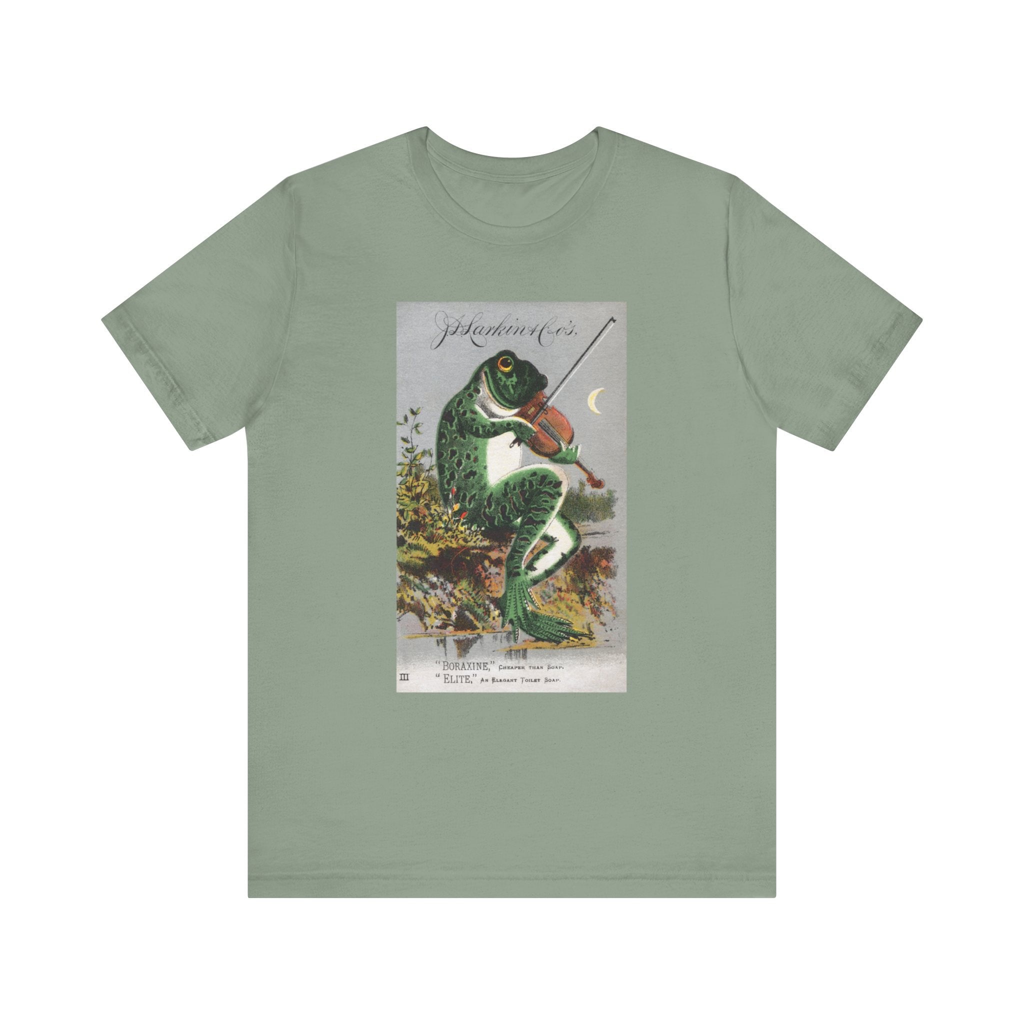 Music Teacher Shirt, Violin Teacher Gift, Gift for Music Teacher, Frog ...