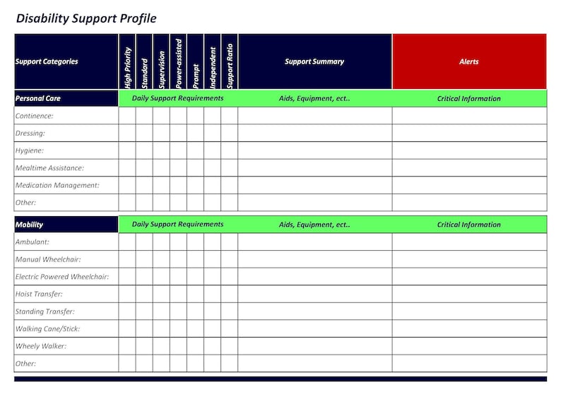 Individual Support Profile Template - Etsy Australia