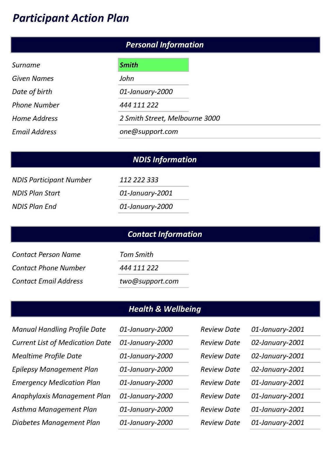 Disability Support Action Plan Template - Etsy