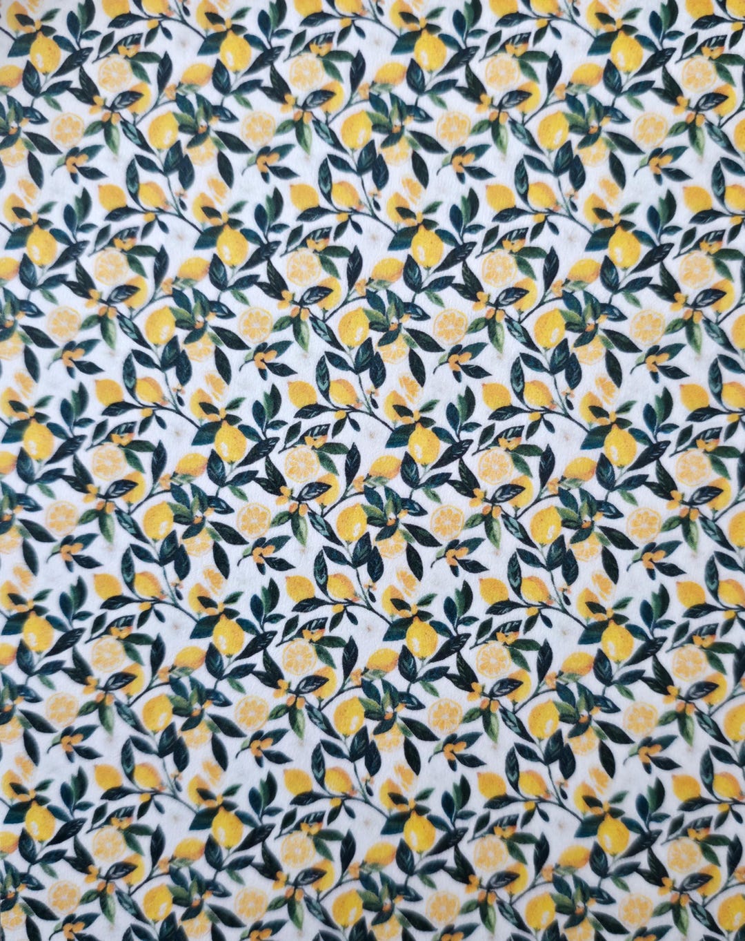 Lemon Polymer Clay Transfer Sheet, Water Soluble Paper (5x4 Inch) - Etsy