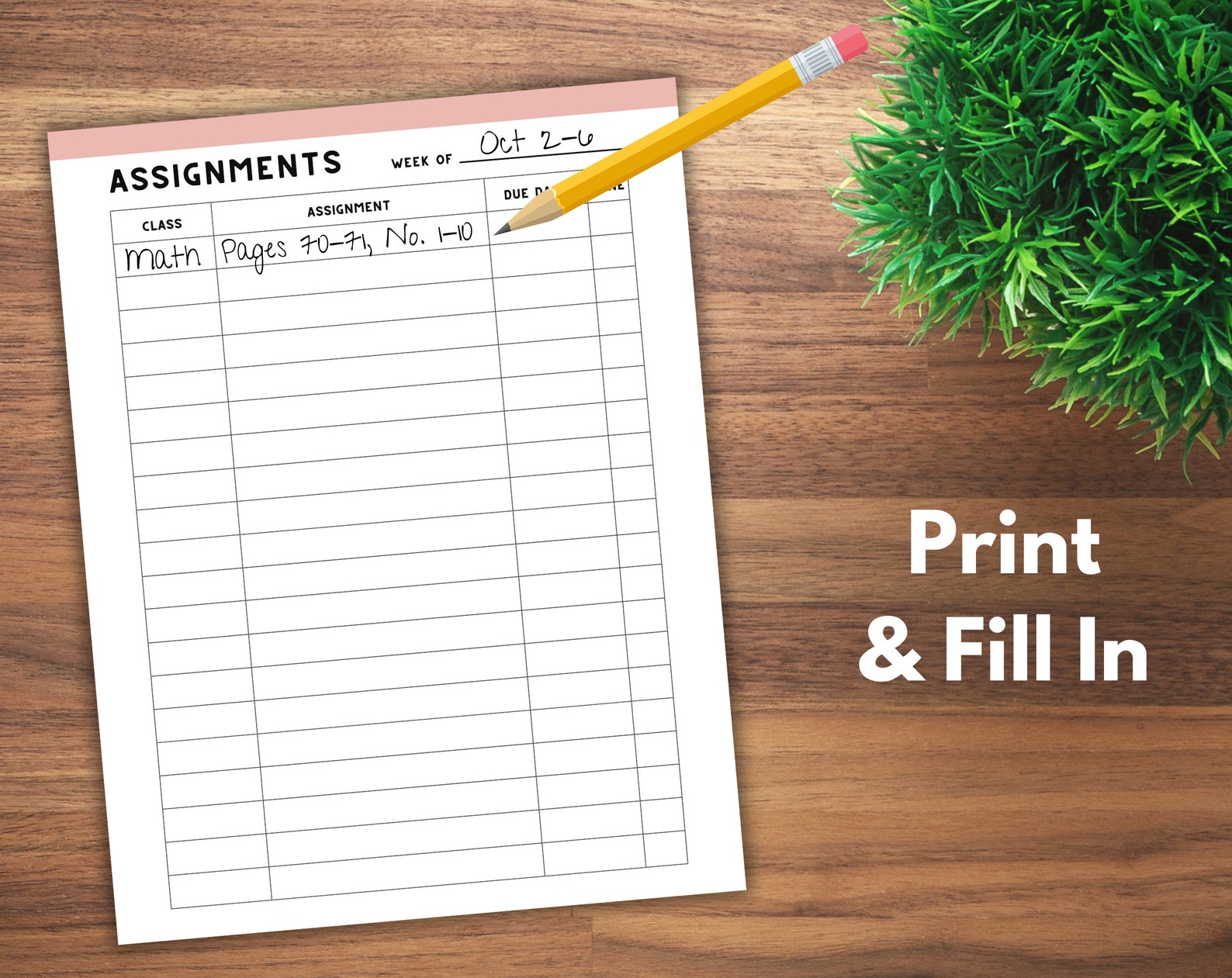 Printable Weekly Assignment Tracker, Letter, A4, Homework Organizer ...