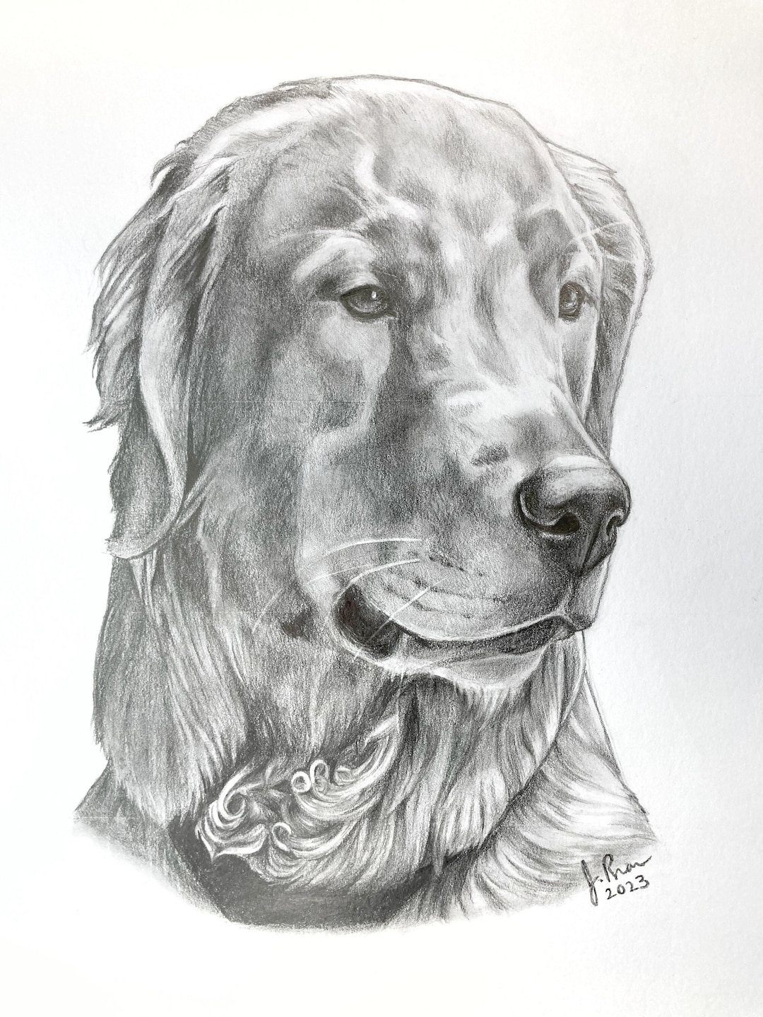 Custom Pet or Animal Portrait | Graphite Pencil Drawing, Memorial, Gift ...