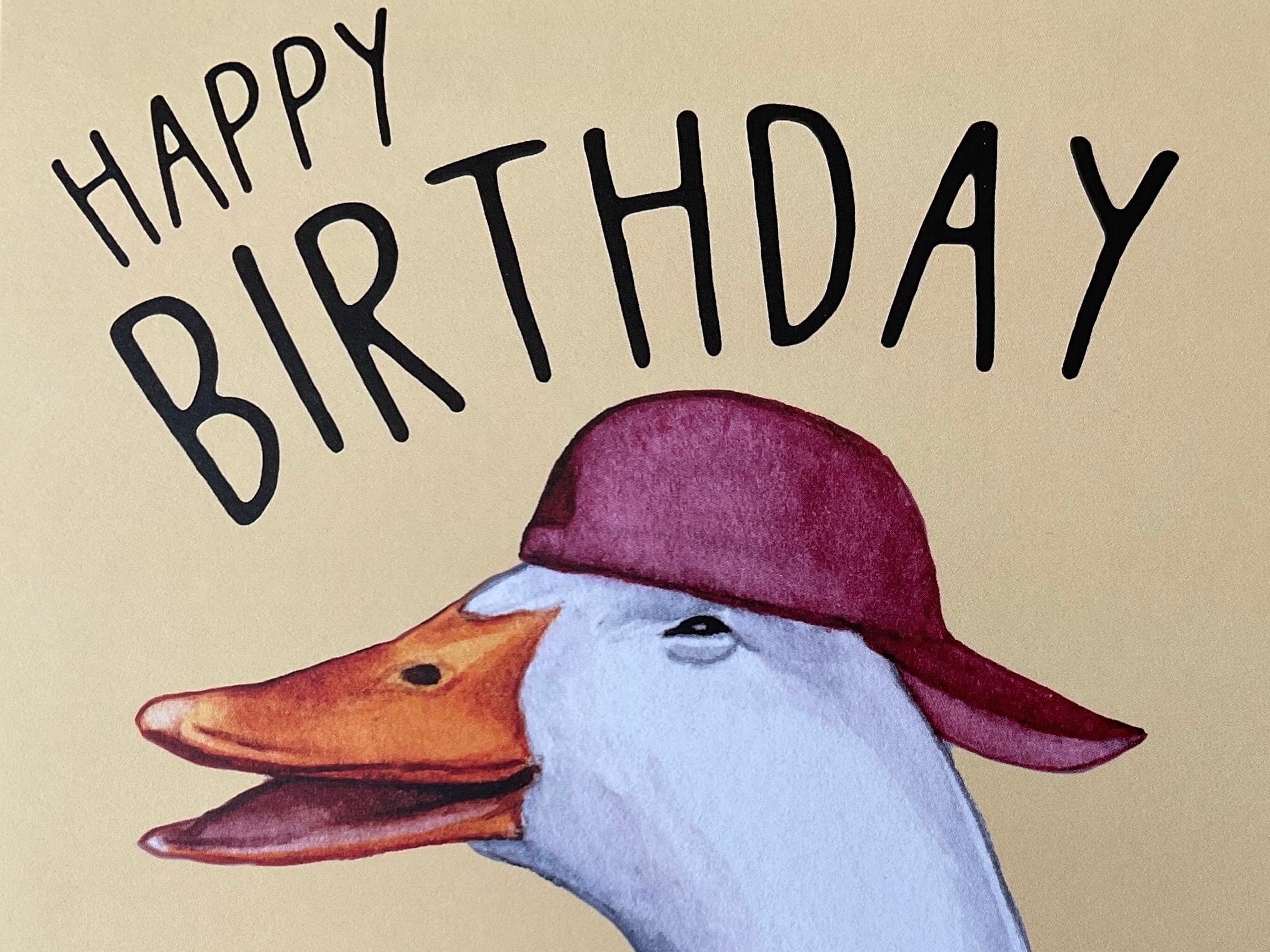 Birthday Greeting Card | Happy Birthday Silly Goose Funny Animal Card ...