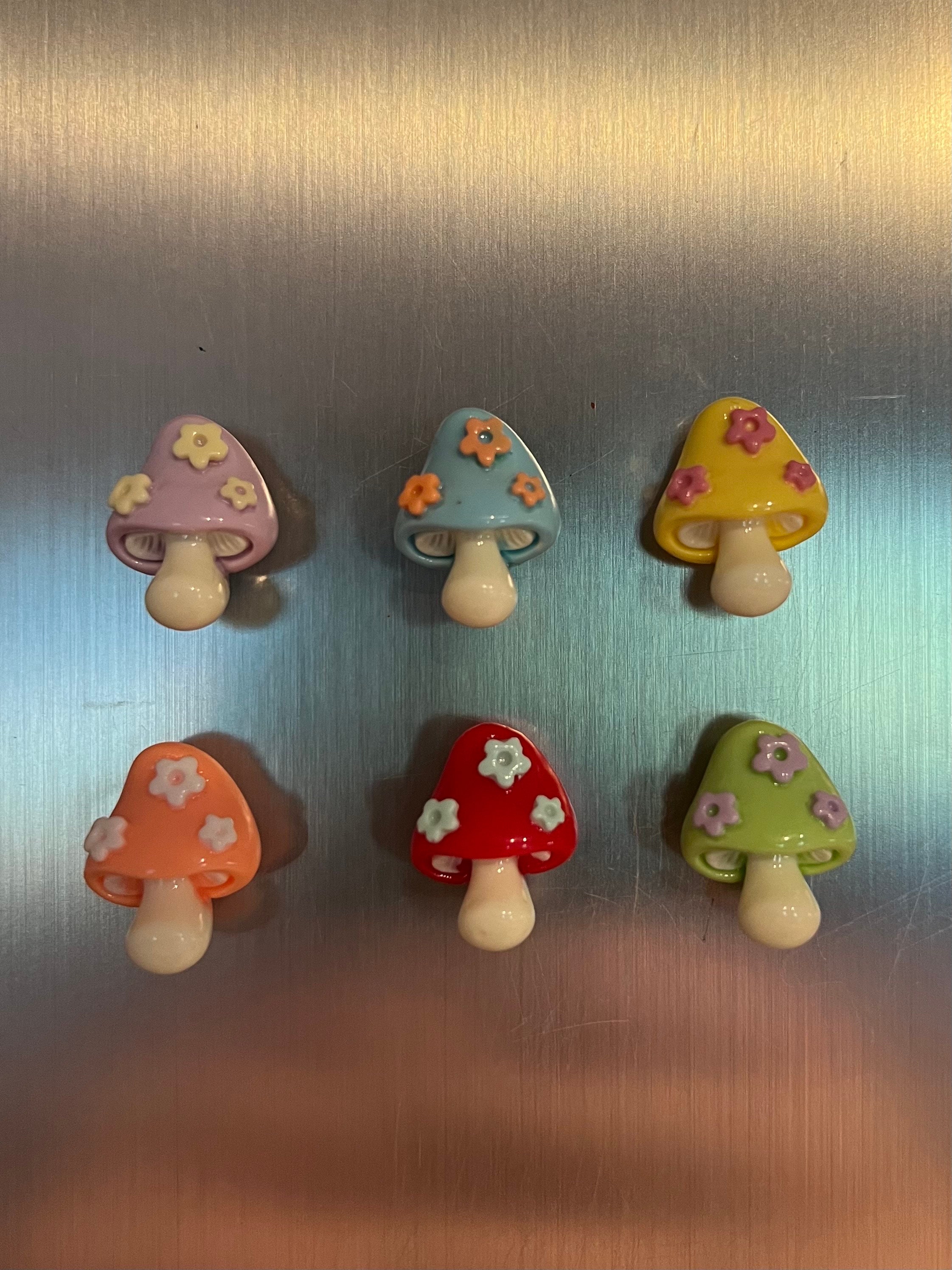 Mini Rainbow Mushroom Magnets Set of 6 - Etsy