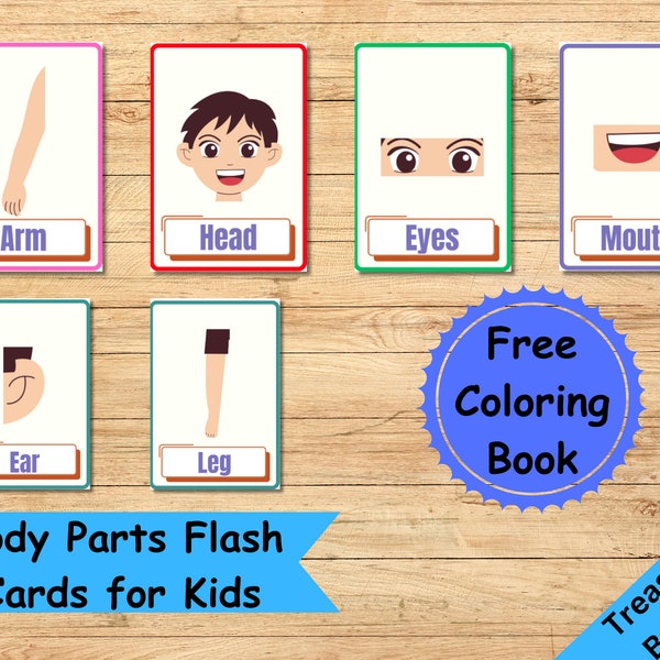 Kids Body Parts Flash Cards - Etsy