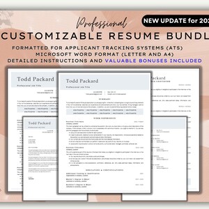 Best Professional Resume Template for Microsoft Word 2024 | Includes ...