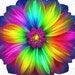 Bright Rainbow Flower- PNG File- Flower Sublimation- Flower Clipart ...