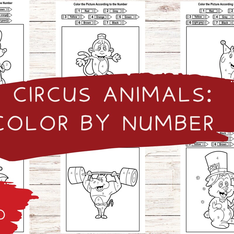 The Circus Book - Etsy