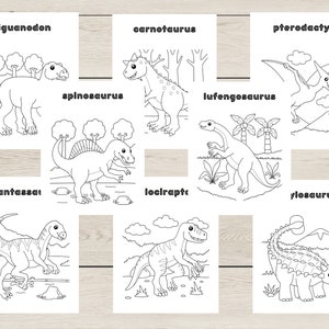 Dinosaur Coloring Pages | Learn Dinosaur Names Activity Book | Adult ...