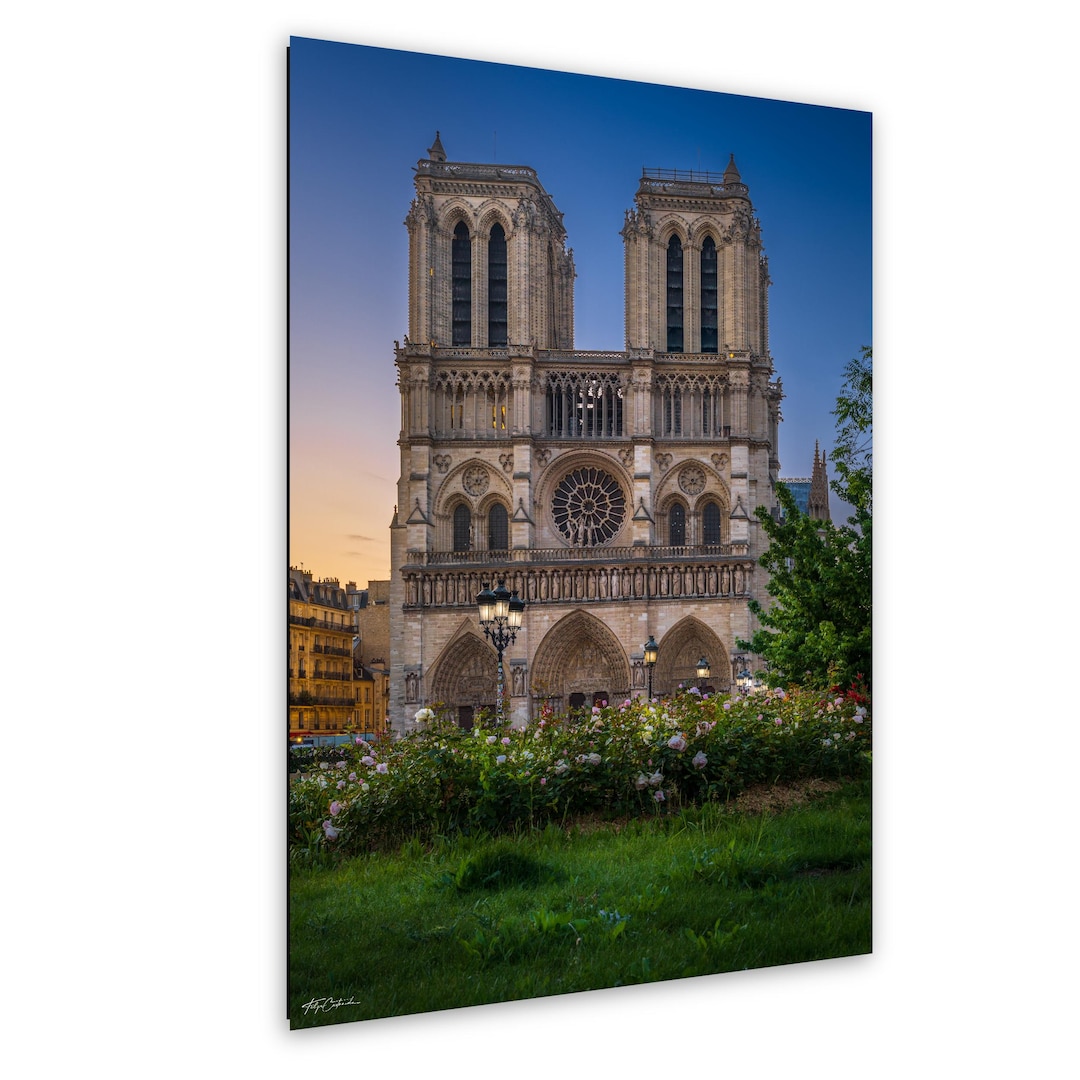 Notre Dame Sunrise Wall Art - Pink Rose Blooms and Soft Morning Sky - Etsy