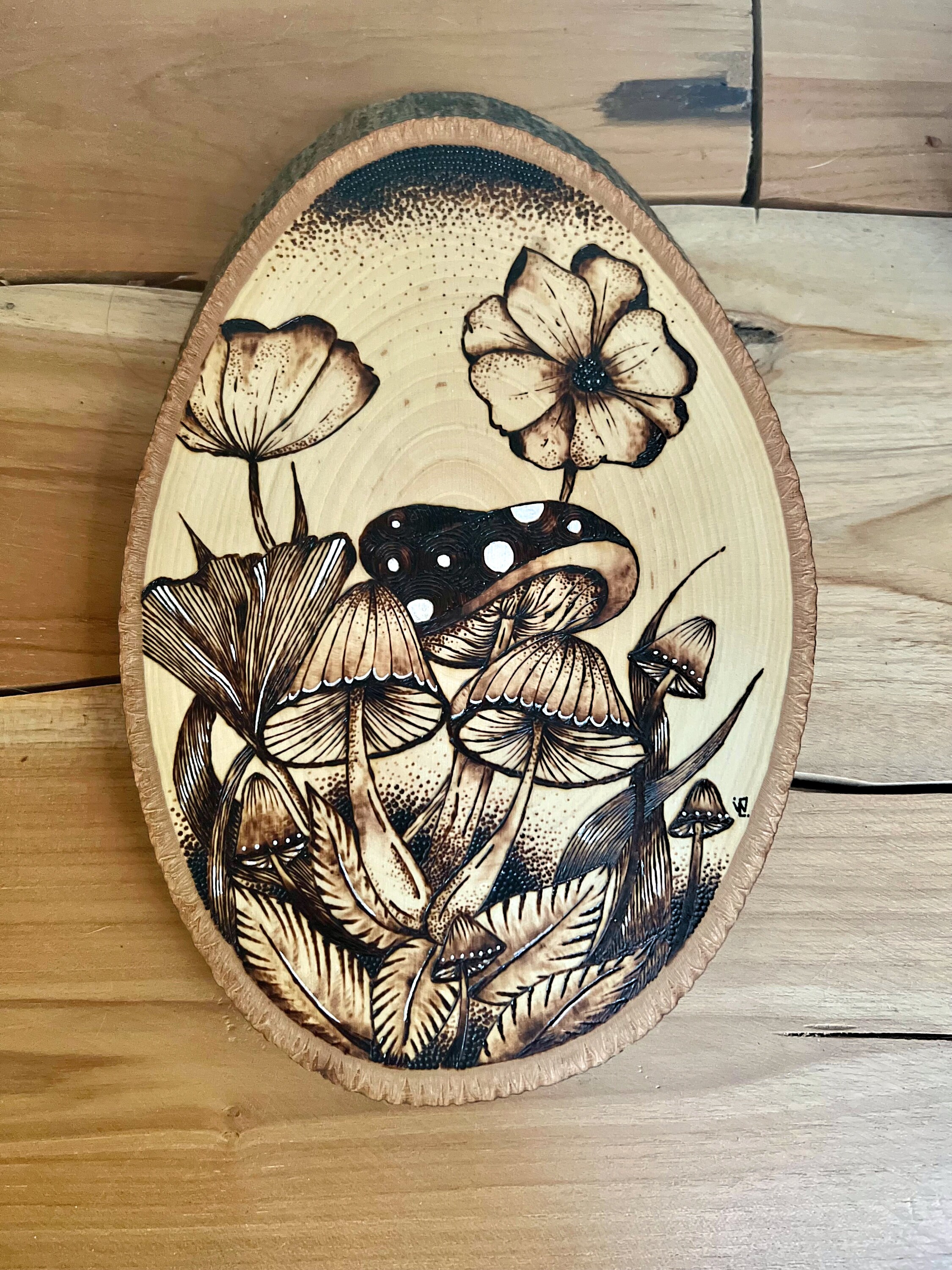 Morning Glow, Wood Burned, Ink, Mushrooms, Flowers, Blossoms, Nature ...