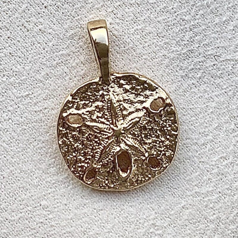 Sand Dollar Seashell - Etsy